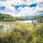 Full Day Trip to Tierra del Fuego National Park - Is It Worth the Price?