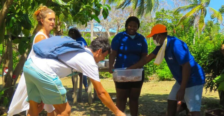 Gastronomic and musical experiences in San Andres Rondontour - The Itinerary and Logistics