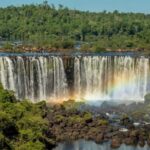 Guided Tour: Brazilian Falls and Bird Park - What Makes This Tour Special?