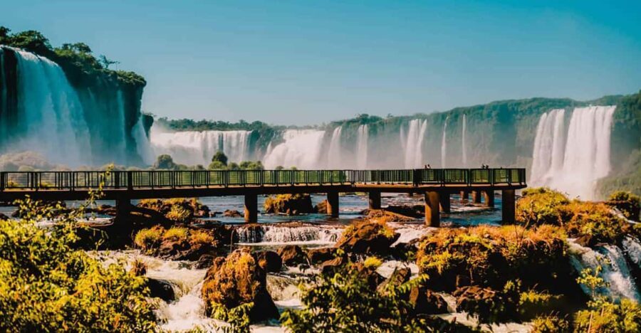 Guided Tour - Explore the Waterfalls Brazil and Bird Park - Authentic Experiences and Real Traveler Insights