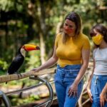 Guided Tour to the Bird Park - VIP Tour - What to Expect at the Bird Park