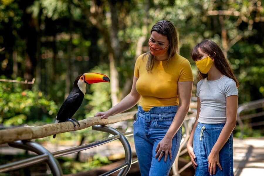 Guided Tour to the Bird Park - VIP Tour - What to Expect at the Bird Park