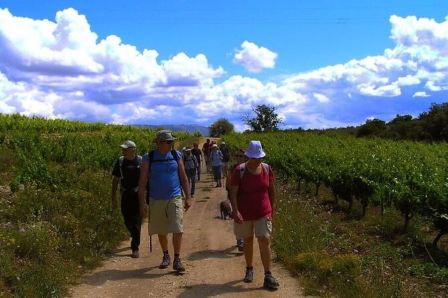 Half Day Tour of Wineries and Olive Oil from Mendoza - What You’ll Love About This Tour