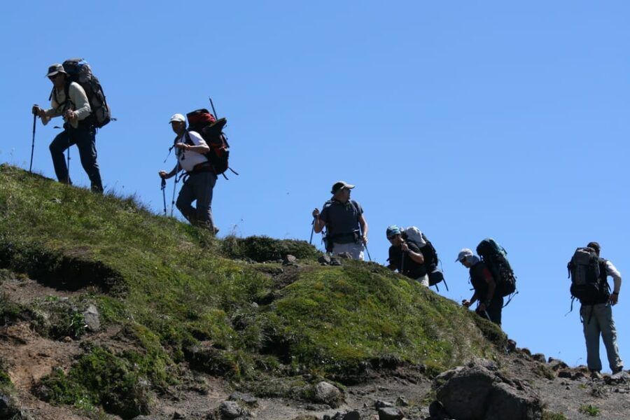Half-Day Trekking at Llao Llao Hill - Who Should Consider This Tour?