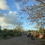 Hanga Roa: The only city of Rapa Nui - Final Thoughts: Who Should Sign Up?