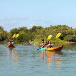 Holbox: Sunrise Kayak Tour through the Mangroves - Practical Details & Logistics
