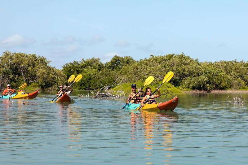 Holbox: Sunrise Kayak Tour through the Mangroves - Practical Details & Logistics