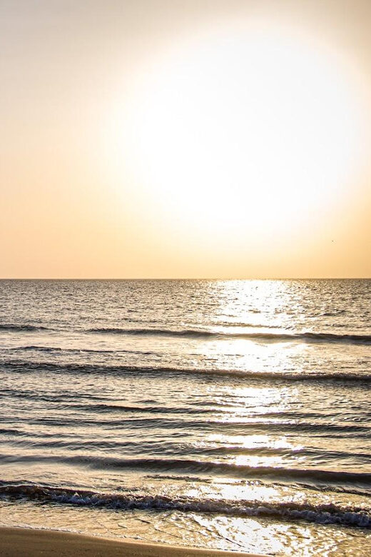 HORSE TOUR IN CARTAGENA BEACH - Why Travelers Love This Tour