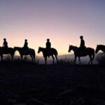 Horseback Riding at Sunset and Dinner in Mendoza - Real Traveler Insights
