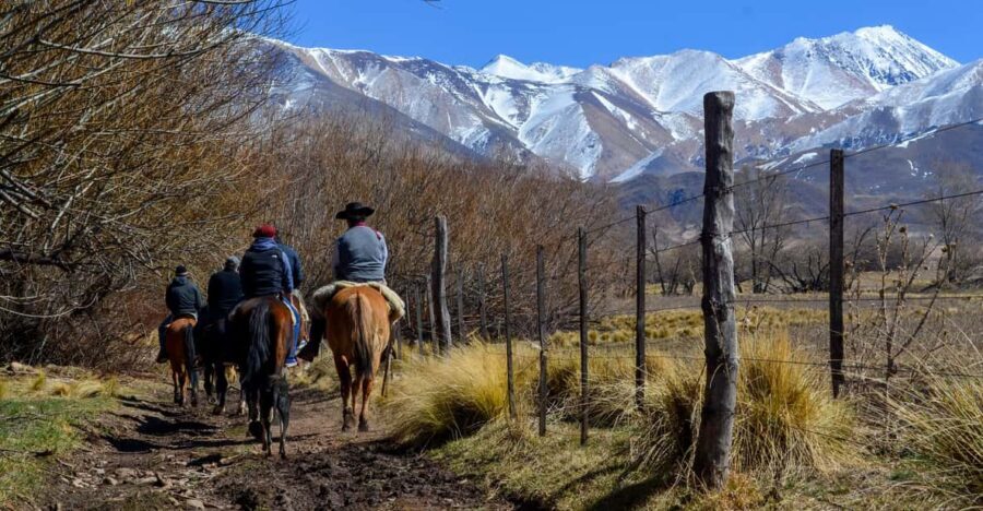 Horseback Riding in the Andes Mountain - The Ride: What to Expect on Horseback