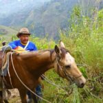 Horseback Riding Tour and visit to Tablón, Chaquira, Pelota - The Practical Aspects: What’s Included and How It Adds Value