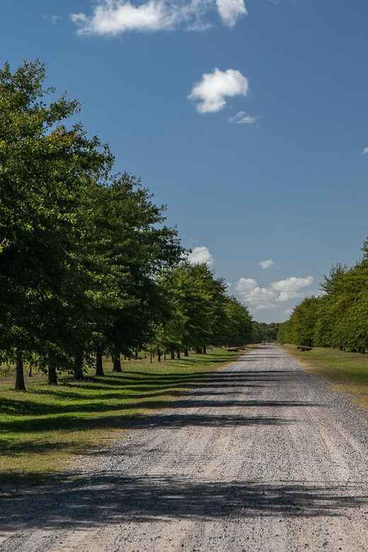 Horses, Asado & Nature. A day at a thoroughbred farm - What to Expect at Haras Chenaut