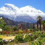 Huaraz: Llanganuco Lake Day Trip - Who Will Love This Tour?