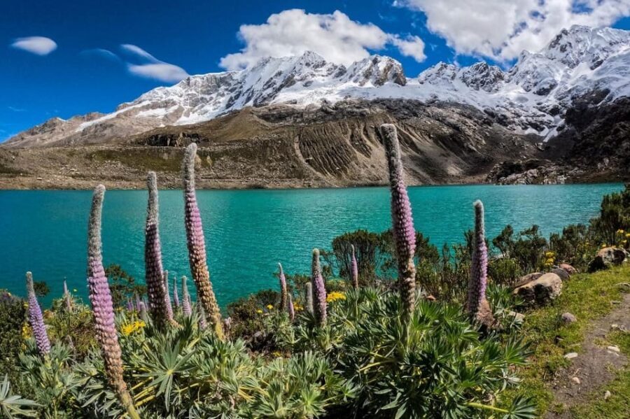 Huaraz: Rocotuyoc Lagoon - Frozen Lagoon | Trekking | - What’s Included and What’s Not