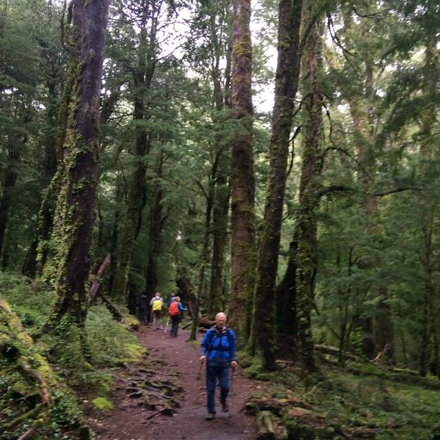 Huerquehue National Park full day - What to Bring and What Not to