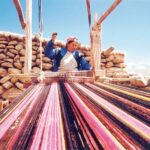 Humahuaca Valley Multicultural Tour from Salta - The Practical Side: Logistics and Value