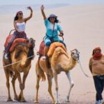 Ica: Dromedaries | swimming pool, games, mini-farm | - What makes this tour appealing?