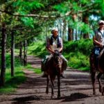 Ica: Horseback riding through the La Caravedo ranch - The Sum Up