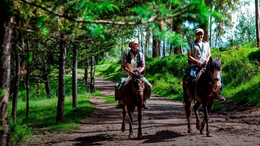 Ica: Horseback riding through the La Caravedo ranch - The Sum Up