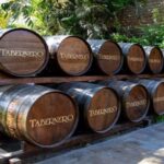 ICA - Pisco and Wine Tasting Experience - Who Should Consider This Tour?