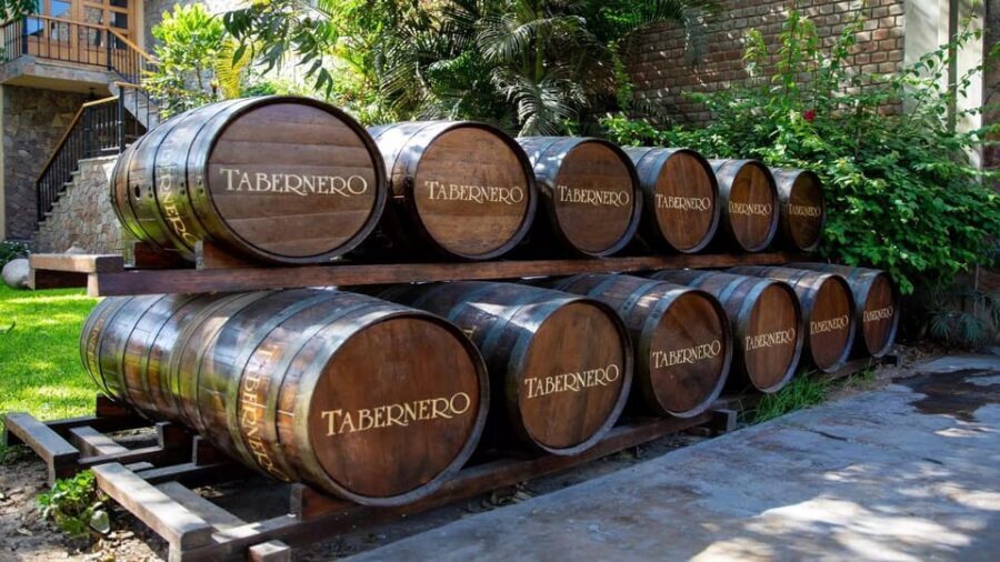 ICA - Pisco and Wine Tasting Experience - Who Should Consider This Tour?