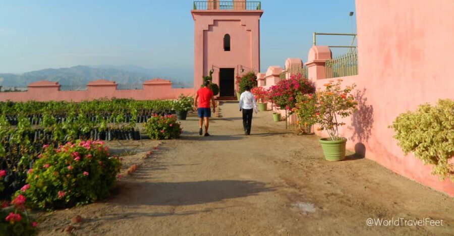 Ica: Pisco and wine tour - Key Points