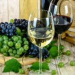 Ica: Pisco Route | Tacama, Arrabal, Bodega Lovera | - Analyzing the Value: Price, Content, and Experience