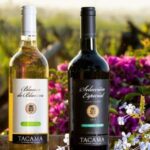 Ica: Pisco Route | Tacama, Arrabal, Bodega Lovera | - Practical Tips for Your Visit