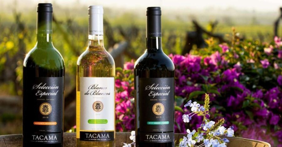 Ica: Pisco Route | Tacama, Arrabal, Bodega Lovera | - Practical Tips for Your Visit