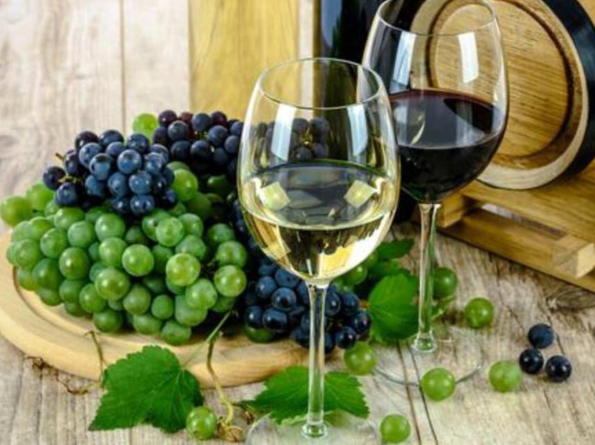 Ica: Pisco Route | Tacama, Arrabal, Bodega Lovera | - Analyzing the Value: Price, Content, and Experience