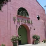 Ica: Pisco Tour | Tacama, Arrabal, Bodega Lovera | - The Tasting Experience