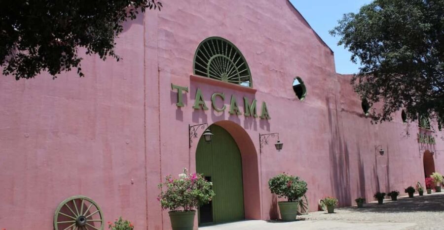 Ica: Pisco Tour | Tacama, Arrabal, Bodega Lovera | - The Tasting Experience