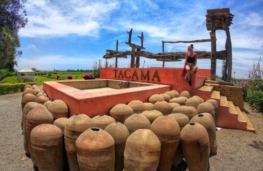 Ica: Pisco Wineries and Vineyards Day Tour - What to Expect and Practical Details