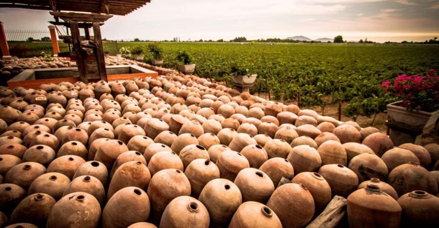 Ica: Private City Tour & Wine Tasting - What Makes This Tour Stand Out?