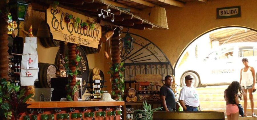 Ica: tour de pisco y vino con viaje al desierto - Transportation, Timing, and Practicalities