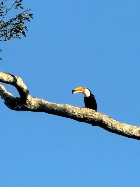 Iguassu Falls PRIVATE Day Tour Brazil & Argentina - Practical Details and Value Analysis