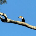 Iguassu Falls: Private Tour Argentina side - Who Will Love This Tour?