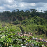 Iguazu Falls Guided:Tour Explore Brazil & Argentina in 1 Day - Why This Tour Delivers Value