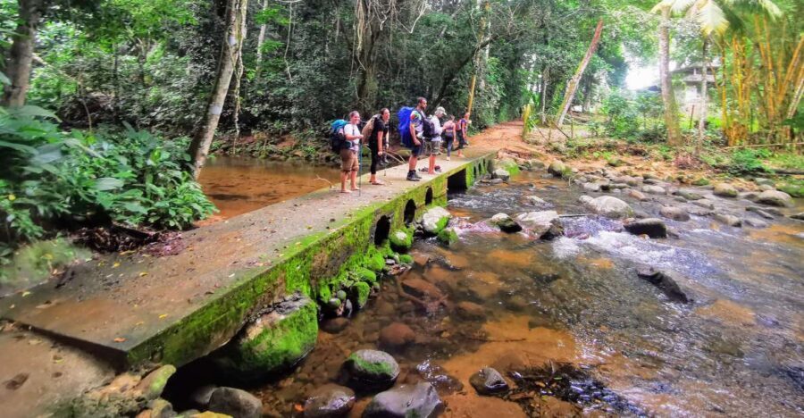 Ilha Grande: Private Hiking with Forest, Beaches & Waterfall - Who Will Love This Tour?