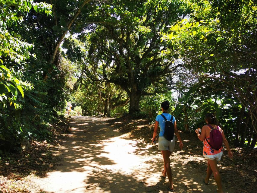 Ilha Grande: Private Historic Walking Tour with Natural Pool - Who Will Love This Tour?