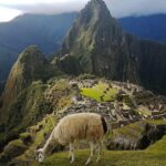 Inca Trail to Machu Picchu 4 days - What the Tour Includes and What to Consider