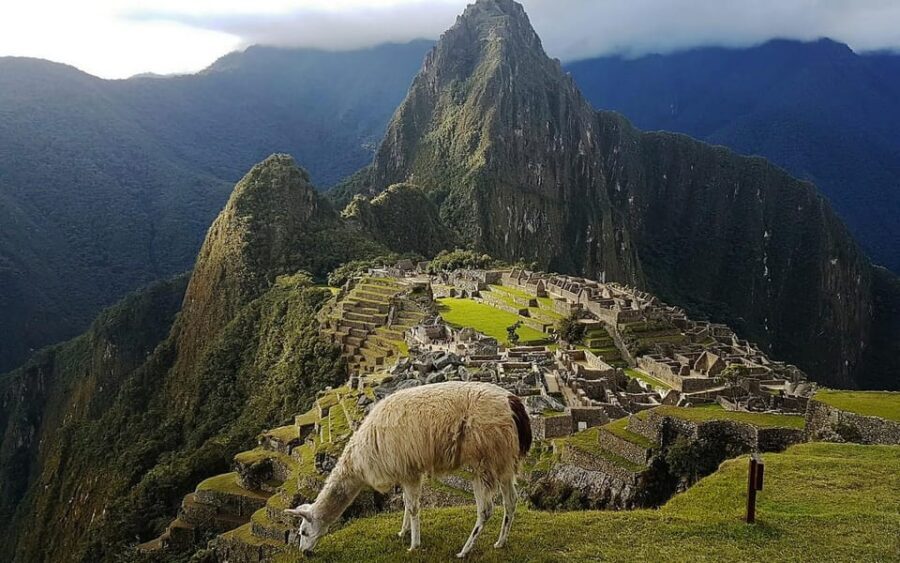 Inca Trail to Machu Picchu 4 days - What the Tour Includes and What to Consider