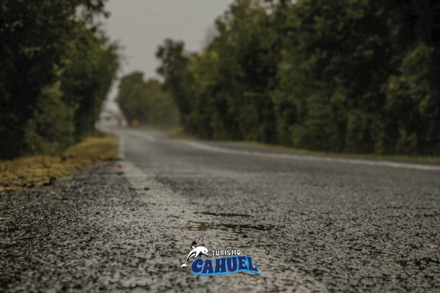 Inner Coast of Chiloé: Road and Sea. - The Itinerary: A Closer Look