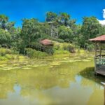 Iquitos: 6-Hour Wonderful Wildlife Guided Tour - Who Will Love This Tour?