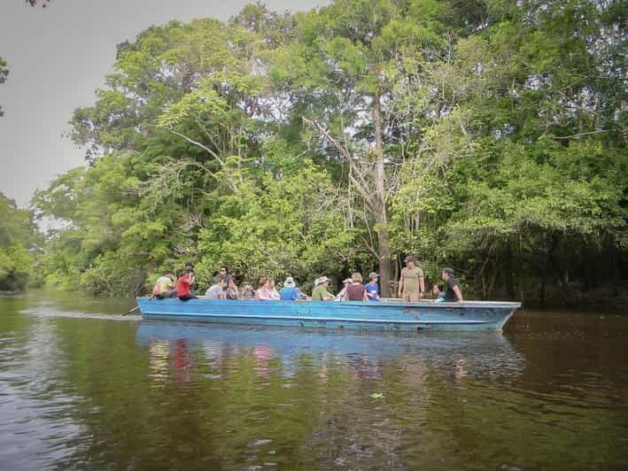 Iquitos : Amazon Jungle Full Day Excursion - What This Tour Means for Travelers