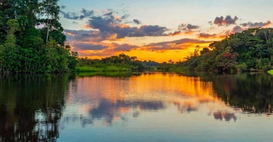 Iquitos: Amazon Jungle in 2 Days: Adventure and Expedition - What Sets This Tour Apart