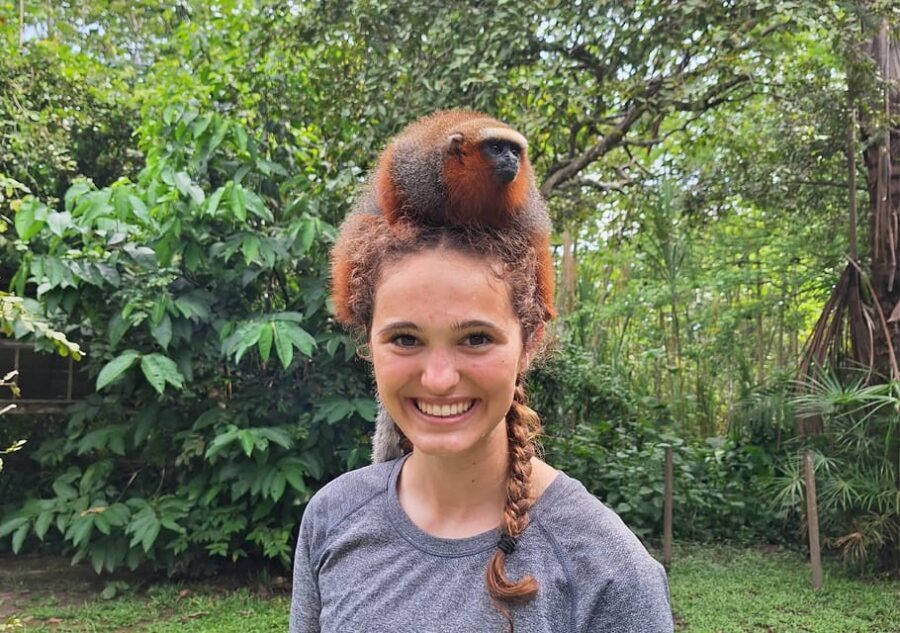 Iquitos: Full Day | Visit to Monkey Island (Official) - What’s Included and What to Keep in Mind