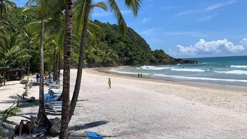 Itacare: 4 Beaches Trail and Tijuipe Waterfall - Itinerary Breakdown: What You Can Expect