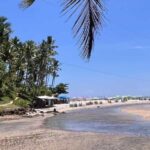 Itacare: Jeribucaçu Trail and Usina Waterfall - What’s Included and What’s Not