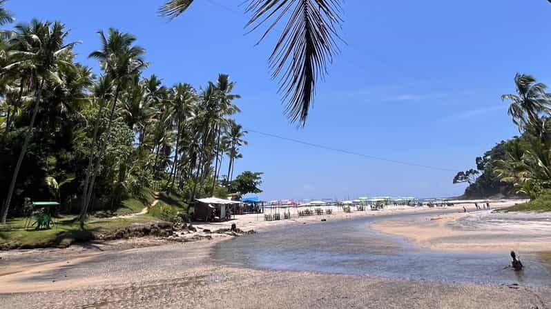 Itacare: Jeribucaçu Trail and Usina Waterfall - What’s Included and What’s Not